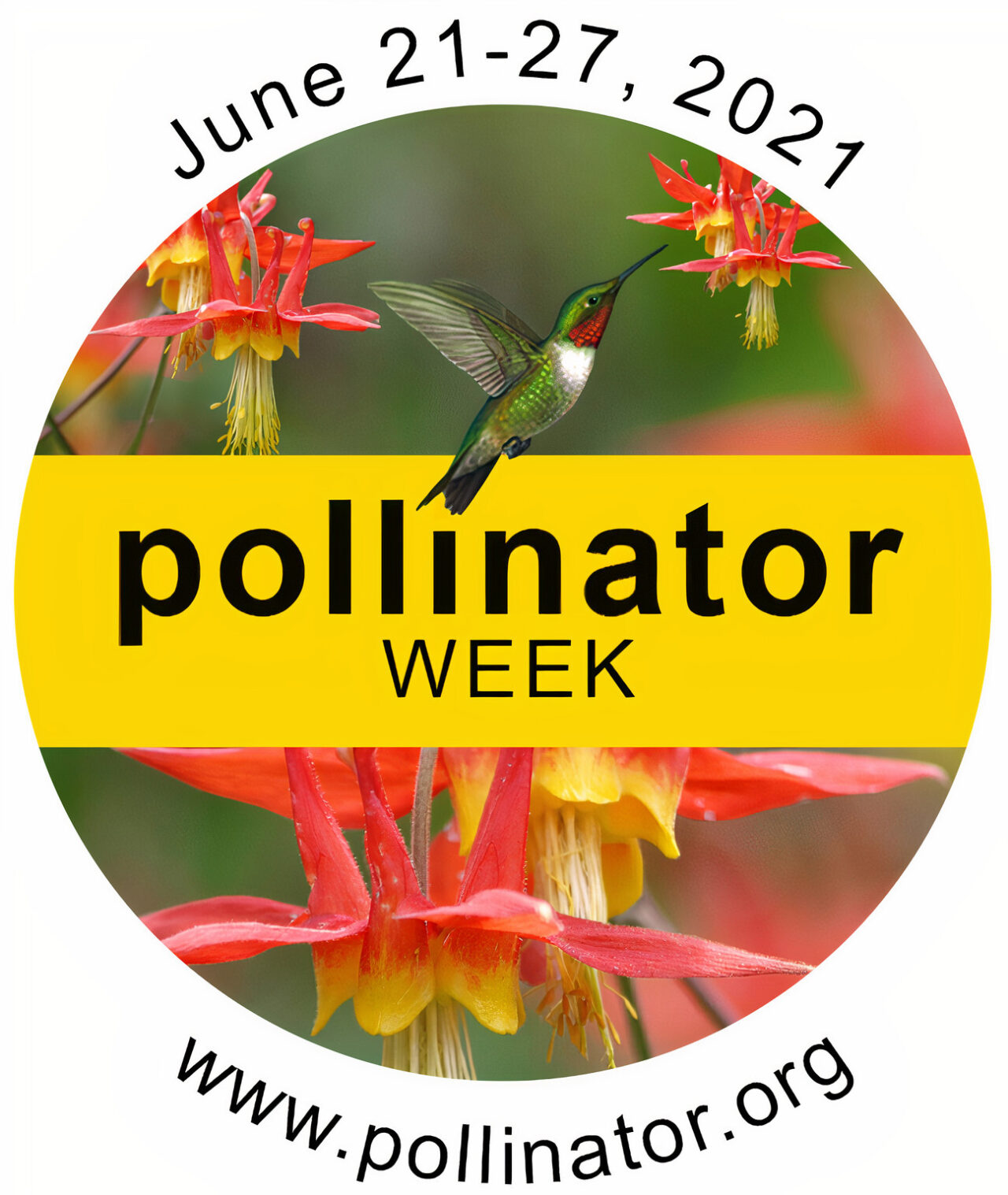 Take Part in Pollinator Week! | CACASA